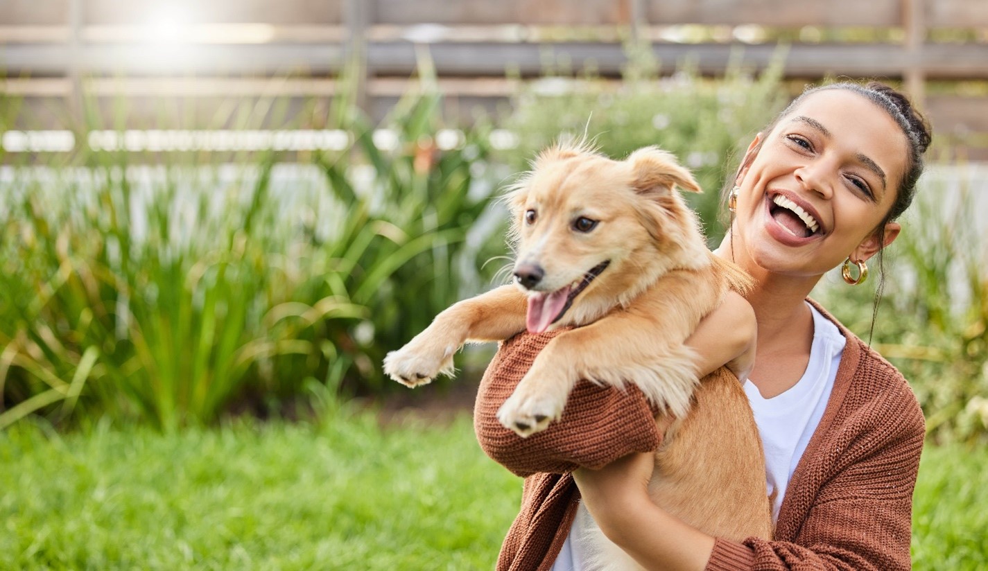 Creating a Daily Routine for Your Dog: Tips for Busy Dog Parents ...